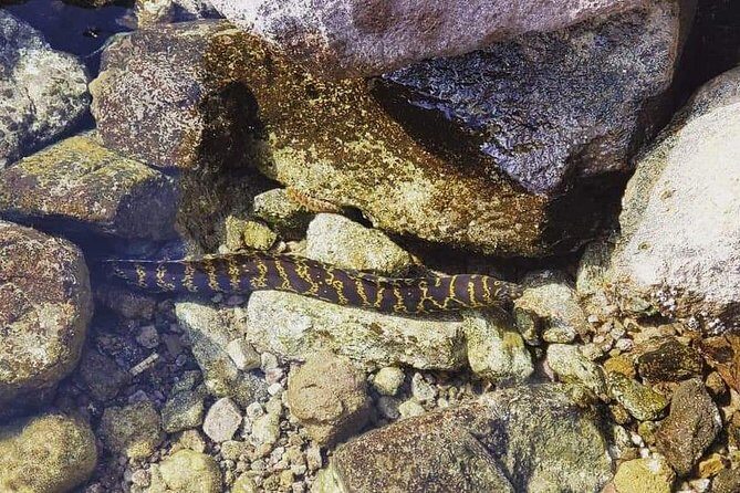 JetSki Snorkel Adventure - Who Will Love This Tour?