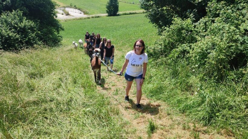 Jettingen-Scheppach: Alpaca hike through the Mindeltal - Why This Tour Works