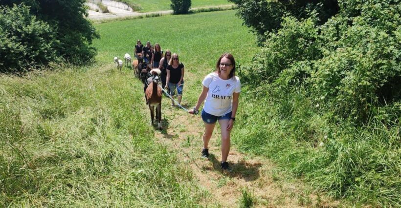 Jettingen-Scheppach: Alpaca hike through the Mindeltal - FAQ