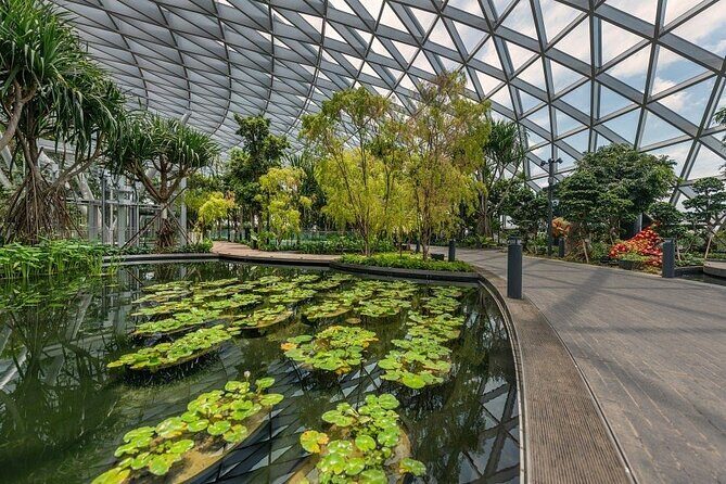 Jewel Changi Airport: Canopy Park Admission Ticket - The Value Proposition