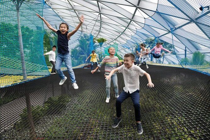 Jewel Changi Airport: Walking Net + Complimentary Canopy Park - A Fun-Filled Day at Jewel Changi Airport: Walking Net + Complimentary Canopy Park