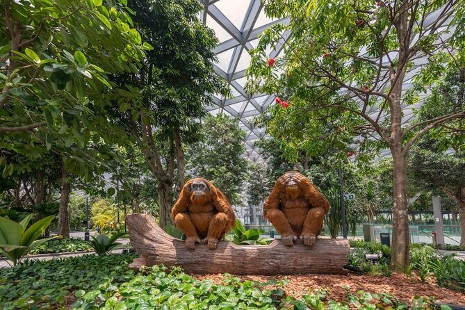 Jewel Changi Airport: Walking Net + Complimentary Canopy Park - What Is Jewel Changi Airport’s Walking Net + Canopy Park Experience?