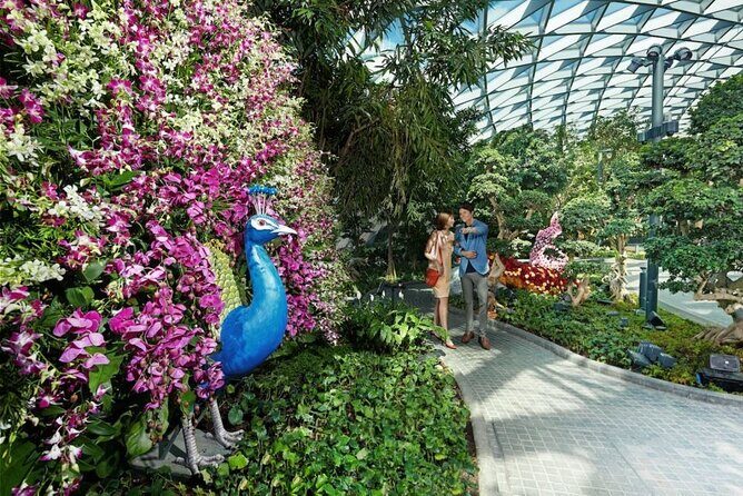 Jewel Changi Airport: Walking Net + Complimentary Canopy Park - FAQ