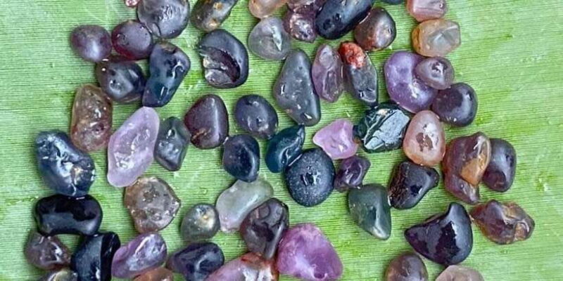 Jewel Hunt Tour of Colombo Shore Excursion from Colombo Port - Key Points