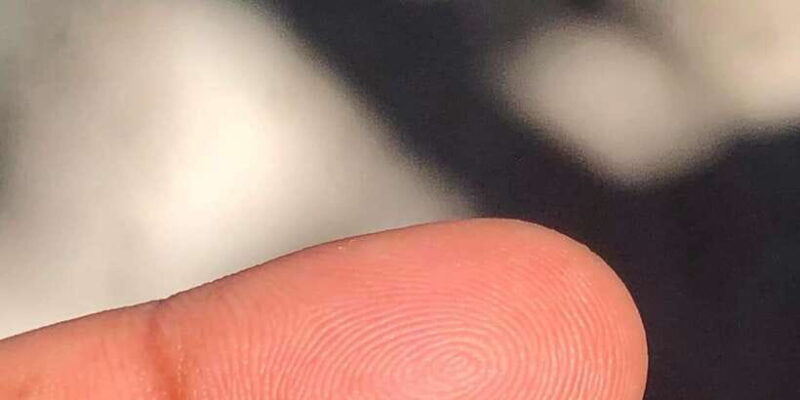 Jewel Hunt Tour of Colombo Shore Excursion from Colombo Port - Who Should Consider This Tour?