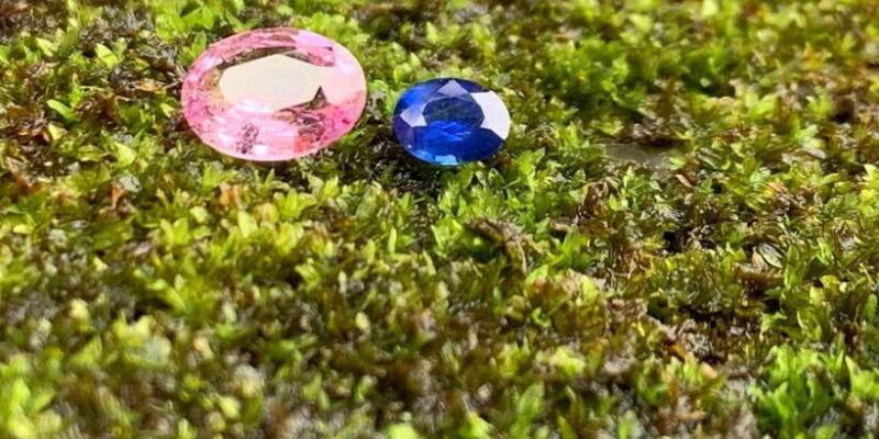 Jewel Hunt Tour of Colombo Shore Excursion from Colombo Port - The Sum Up