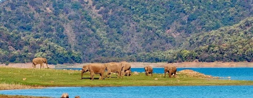 Jim Corbett: 3-Day Safari Tour by Flight from Bangalore - Key Points