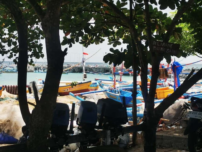 Jimbaran: Exotic Culinary Fish and Seafood Tour - Key Points
