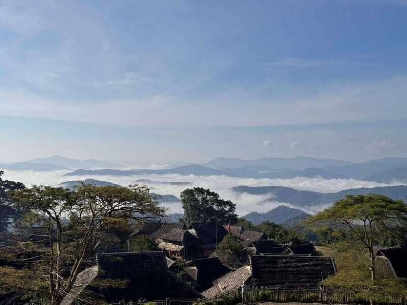 Jingmai Mountain (UNESCO) | Old Tea Forests and Dai Villages - Key Points