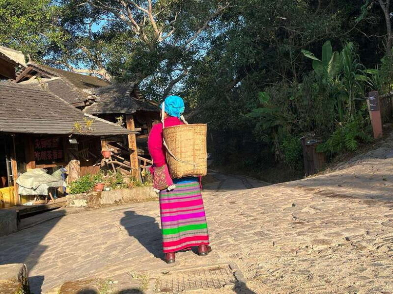 Jingmai Mountain (UNESCO) | Old Tea Forests and Dai Villages - Exploring the Dai Villages: Culture and Colour