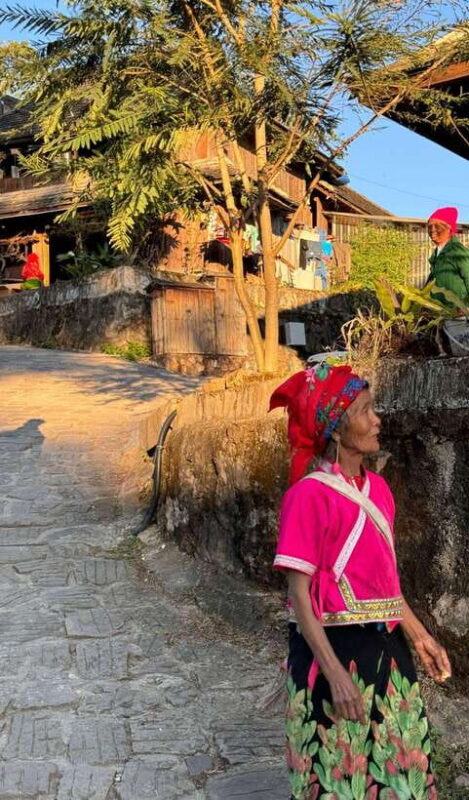 Jingmai Mountain (UNESCO) | Old Tea Forests and Dai Villages - Analyzing the Value