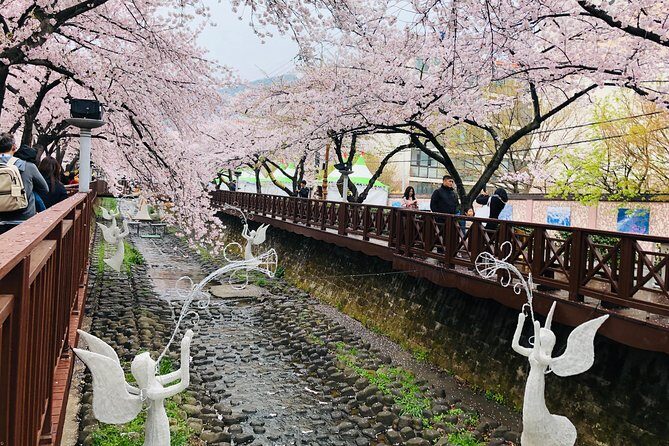 Jinhae Cherry Blossom + Busan Sunrise from Seoul - Transportation and Comfort