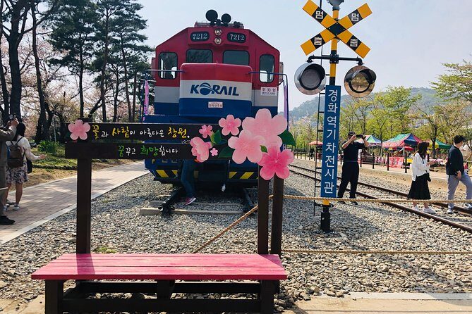 Jinhae Cherry Blossom + Busan Sunrise from Seoul - What Past Participants Say