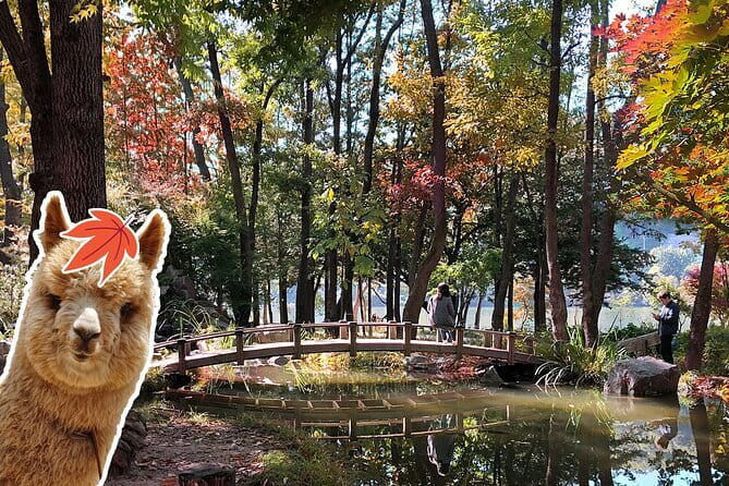 Jinhae Cherry Blossom-Yeojwacheon & Gyeonghwa St. Tour from Seoul - The Practicalities and How They Affect Your Trip