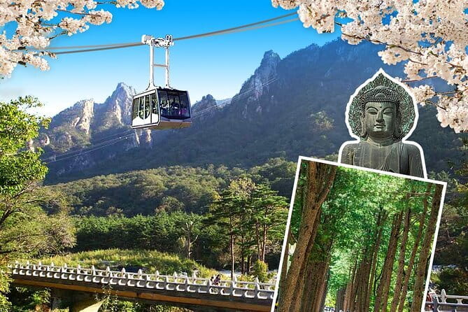 Jinhae Cherry Blossom-Yeojwacheon & Gyeonghwa St. Tour from Seoul - Frequently Asked Questions