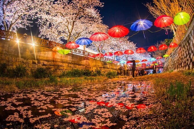 Jinhae Gunhangje Night Tour - What to Expect from the Itinerary