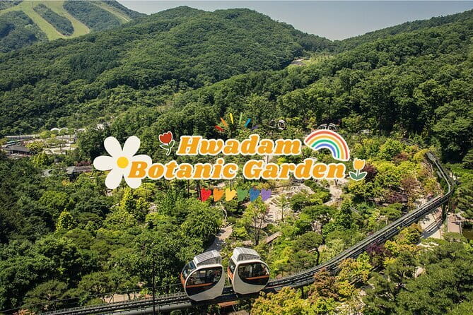Jinhae's Cherry Blossoms Shuttle Bus depart from Seoul/Busan - FAQs