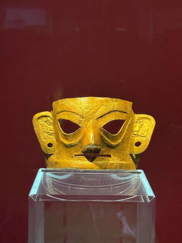 Jinsha Site Museum Tour: Experience Ancient Shu civilization - Who Should Consider This Tour?