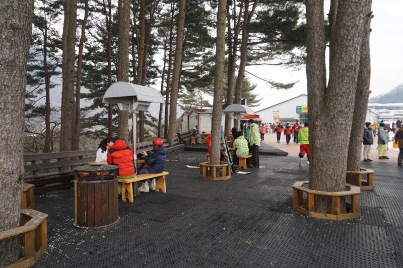Jisan Forest Resort: Ski Full-Day Tour or Shuttle from Seoul - What’s Included and What’s Not?