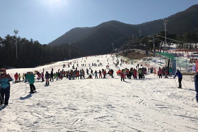 Jisan Forest Ski Resort and Everland 1 Day Tour - Skiing at Jisan Forest Resort