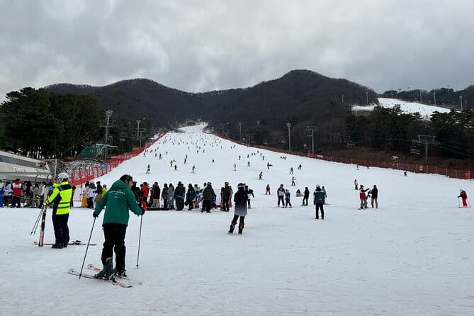 Jisan Forest Ski Resort and Everland 1 Day Tour - Return to Seoul: wrapping up a full day