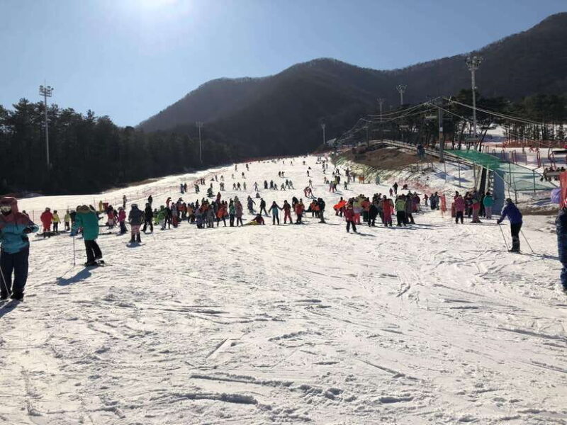 Jisan Forest Ski Resort One Day Tour - An Introduction to Jisan Forest Ski Resort