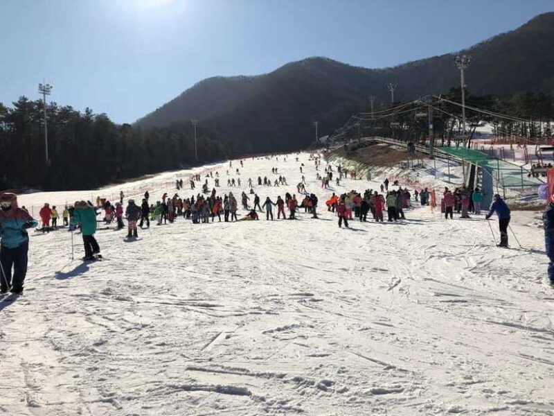 Jisan Forest Ski Resort One Day Tour - Activity Options and What They Mean for You