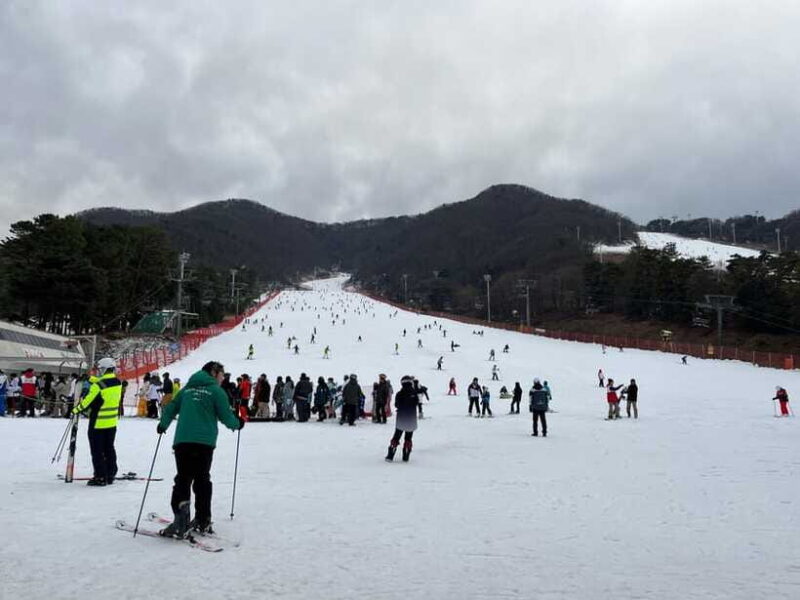 Jisan Forest Ski Resort One Day Tour - How the Experience Feels