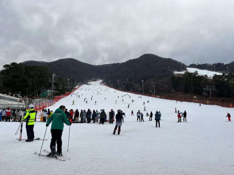 Jisan Forest Ski Resort One Day Tour - Practical Tips for Travelers