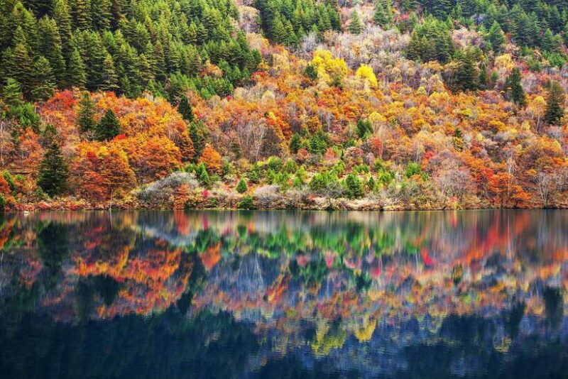 Jiuzhai Valley & Huanglong Scenic Area: 3-Day Private Tour - What Makes this Tour Stand Out?