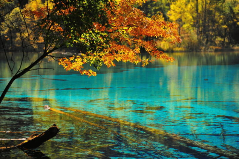 Jiuzhai Valley National ParkVisit Colorful Fairy Tale World - Who Will Love This Tour?