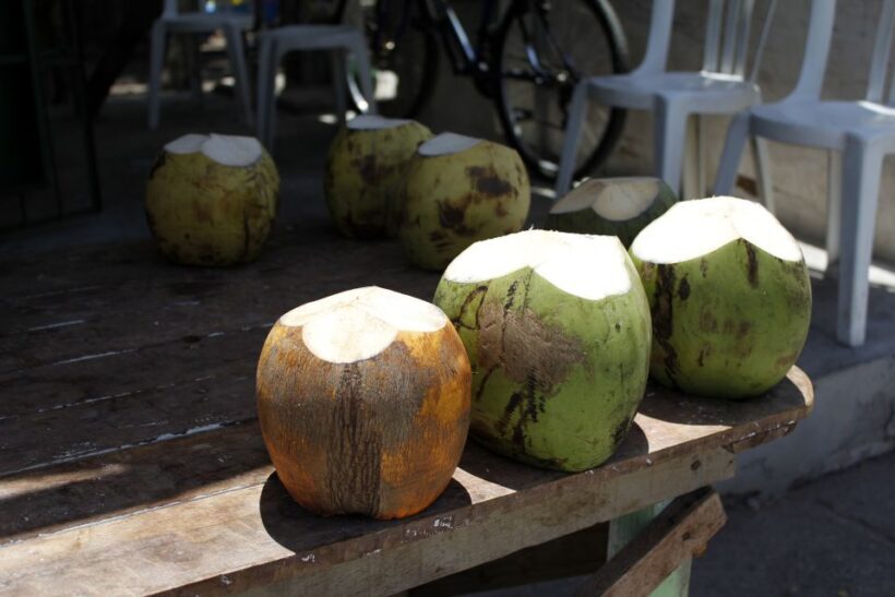 Joao Pessoa City Tour - What’s Included and What to Keep in Mind