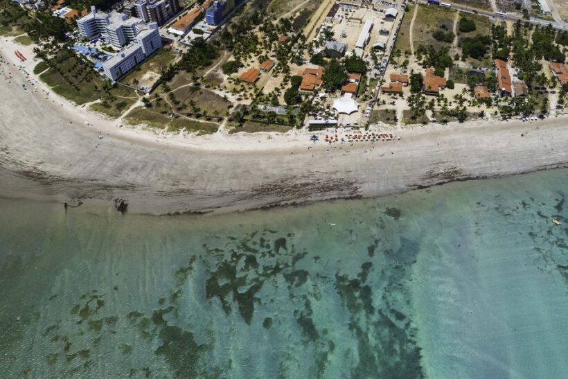 Joao Pessoa Northern Coast Beaches Day Tour - FAQ