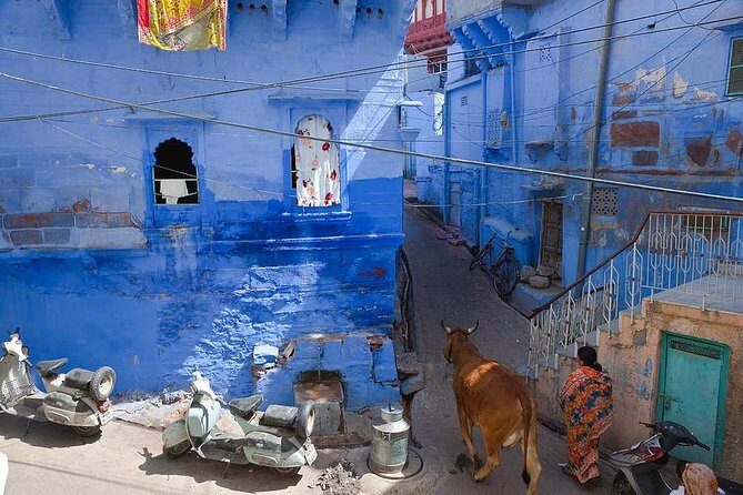 Jodhpur Blue City Tour - Who Will Love This Tour?