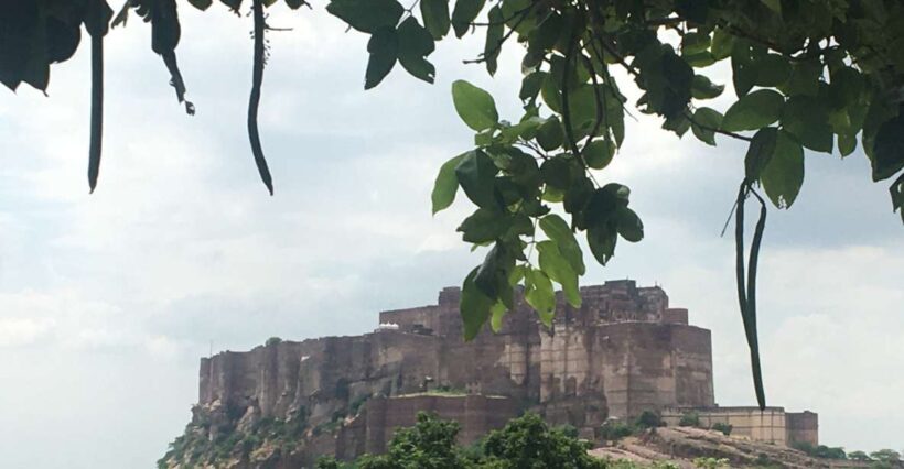 jodhpur blue city walking tour with guide - Key Points