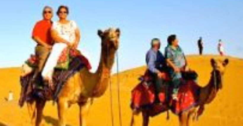 Jodhpur Camel & Jeep Safari with Sunset, Folk Dance, Dinner - A Detailed Look at the Rajasthan Desert Evening Tour