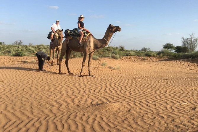 Jodhpur Camel Safari & Jeep Safari In Desert Jodhpur SR - Camel Ride in the Thar Desert: The Heart of the Tour