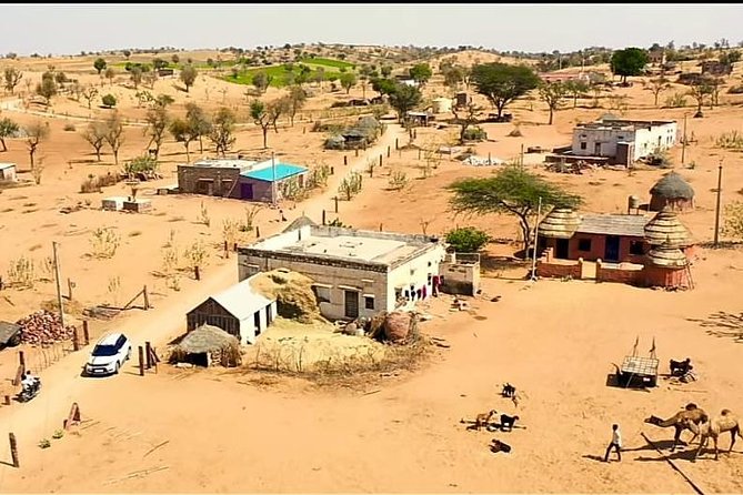 Jodhpur Camel Safari & Jeep Safari In Desert Jodhpur SR - Ending the Day: Return to Jodhpur