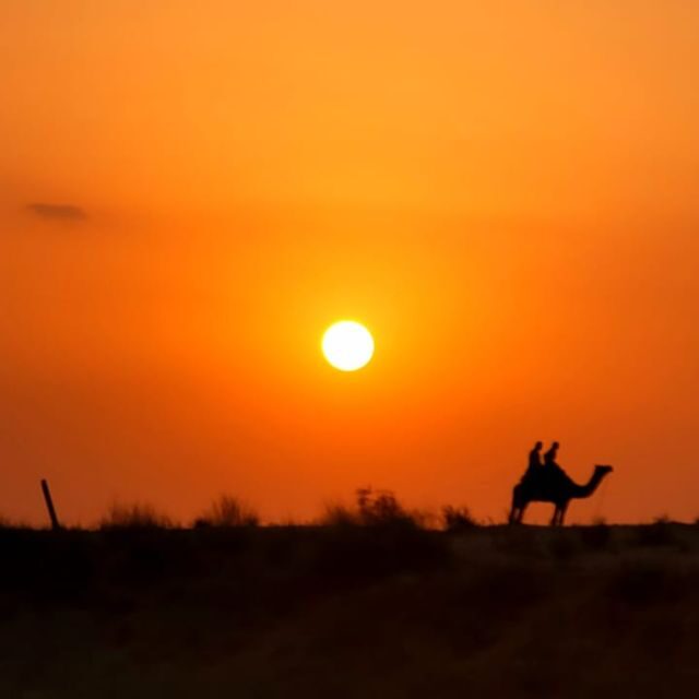 Jodhpur Camel Safari With Traditional Food With Sumer - A Detailed Look at the Tour