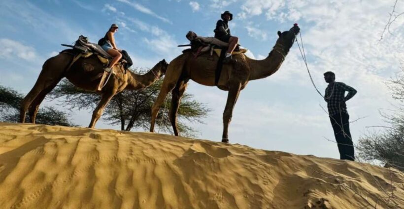 Jodhpur Camel Safari With Traditional Food With Sumer - Who Will Love This Tour?