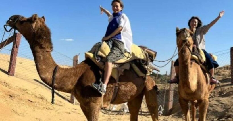 Jodhpur: Desert Camel and Jeep Safari with Traditional Food - Authenticity and Cultural Connection