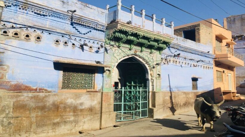 jodhpur experience with bantu - A Deep Dive into the Jodhpur Experience with Bantu