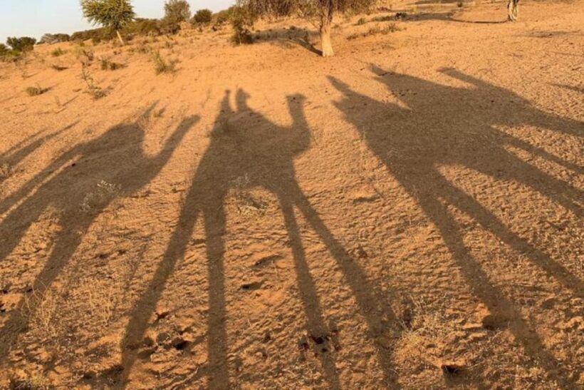 Jodhpur: Full-Day City Private Tour & Camel Safari - Who Is This Tour Best For?