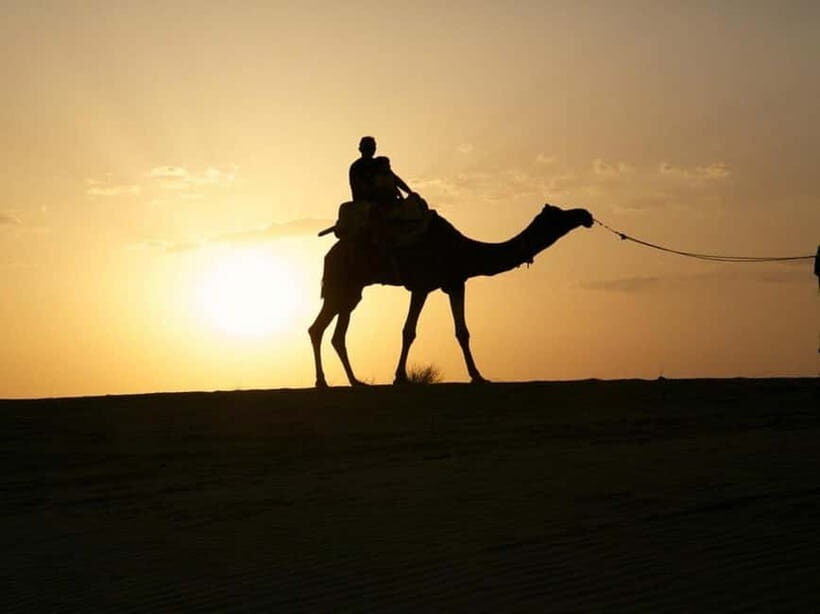 Jodhpur : Jeep Safari, Camel Ride,Buffet Dinner & Folk Dance - Exploring the Itinerary