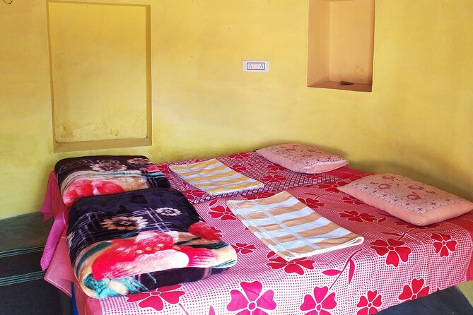 Jodhpur overnight desert camping with camel safari Jodhpur - The Sum Up