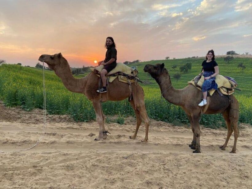 Jodhpur: Overnight Stay in Desert with Camel Safari - Dinner and Night Under the Stars