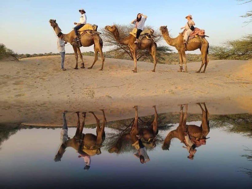 Jodhpur: Overnight Stay in Desert with Camel Safari - Return to Jodhpur
