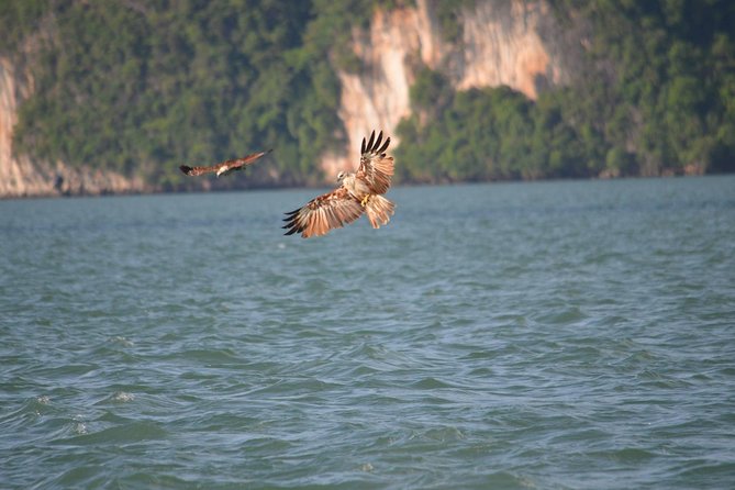 John Gray's Adventure Hong by Starlight in Phang Nga Bay - FAQ