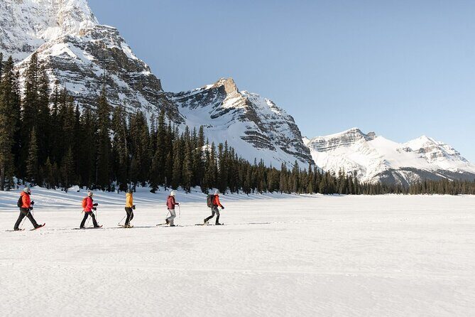 Johnston Canyon, Banff Historical Site, Gondola all inclusive - End of the Day: Return to Calgary