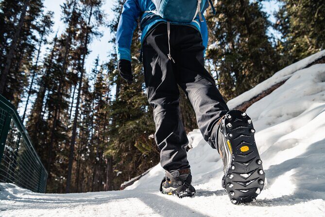 Johnston Canyon Icewalk - The Sum Up